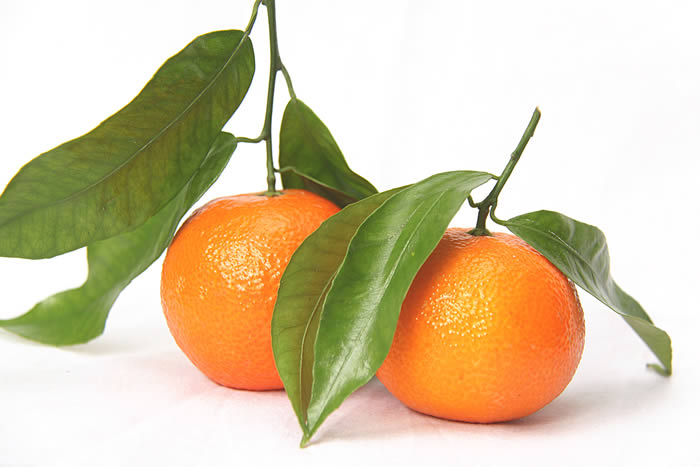 CLEMENTINE WITH LEAVES 1KG – Taste of Spain